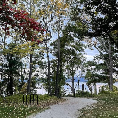 Leddy Park